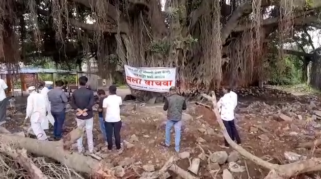 सांगलीत ‘चिपको आंदोलन’